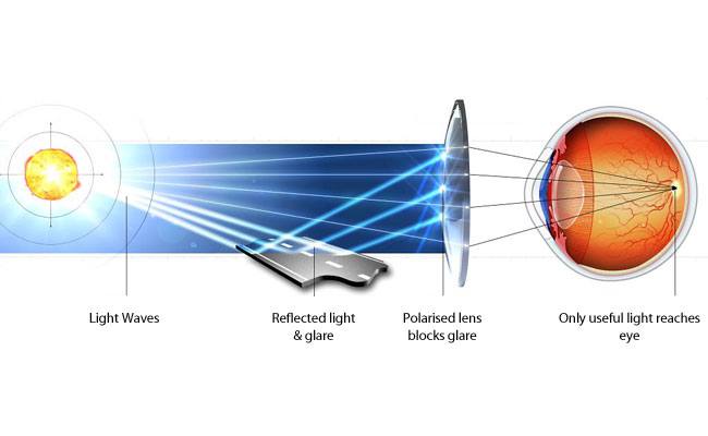 Guide to Sun Lenses | SelectSpecs
