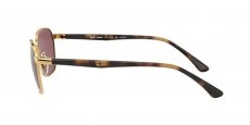 Ray-Ban Sunglasses. Free Delivery - SelectSpecs