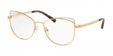 MICHAEL KORS MK3025 SANTIAGO Glasses, Free Anti-reflection Lenses ...
